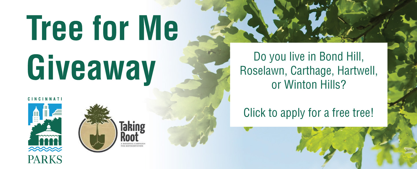 Urban Forestry Main Links - Cincinnati Parks